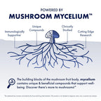 Natural mushrooms for wellness support