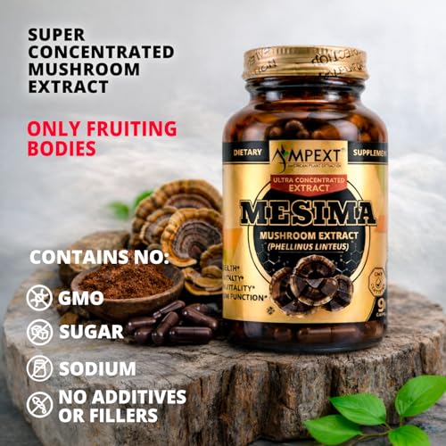 natural mushrooms for wellness