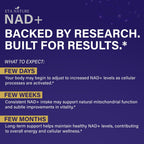 Natural NAD+ energy support formula
