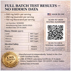 Natural NAD+ for cellular support
