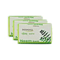 natural neem body cleanser pack
