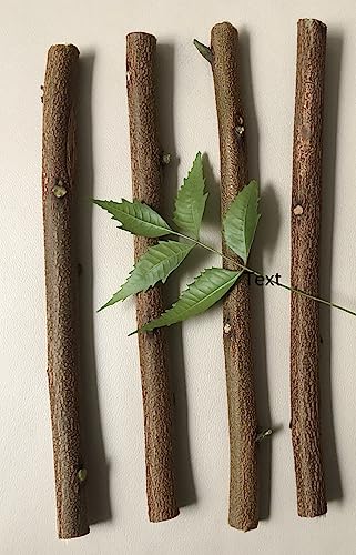 natural neem chew sticks pack