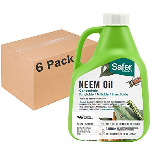 natural neem concentrate for plants