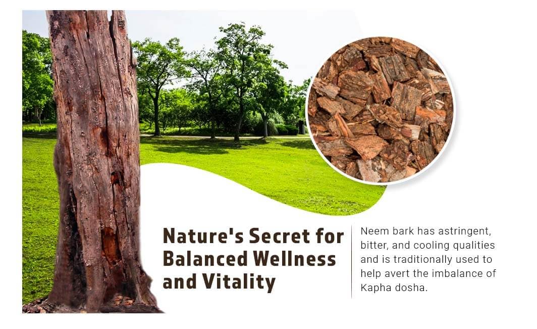 natural neem for daily supplements