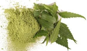 natural neem supplement for skin care