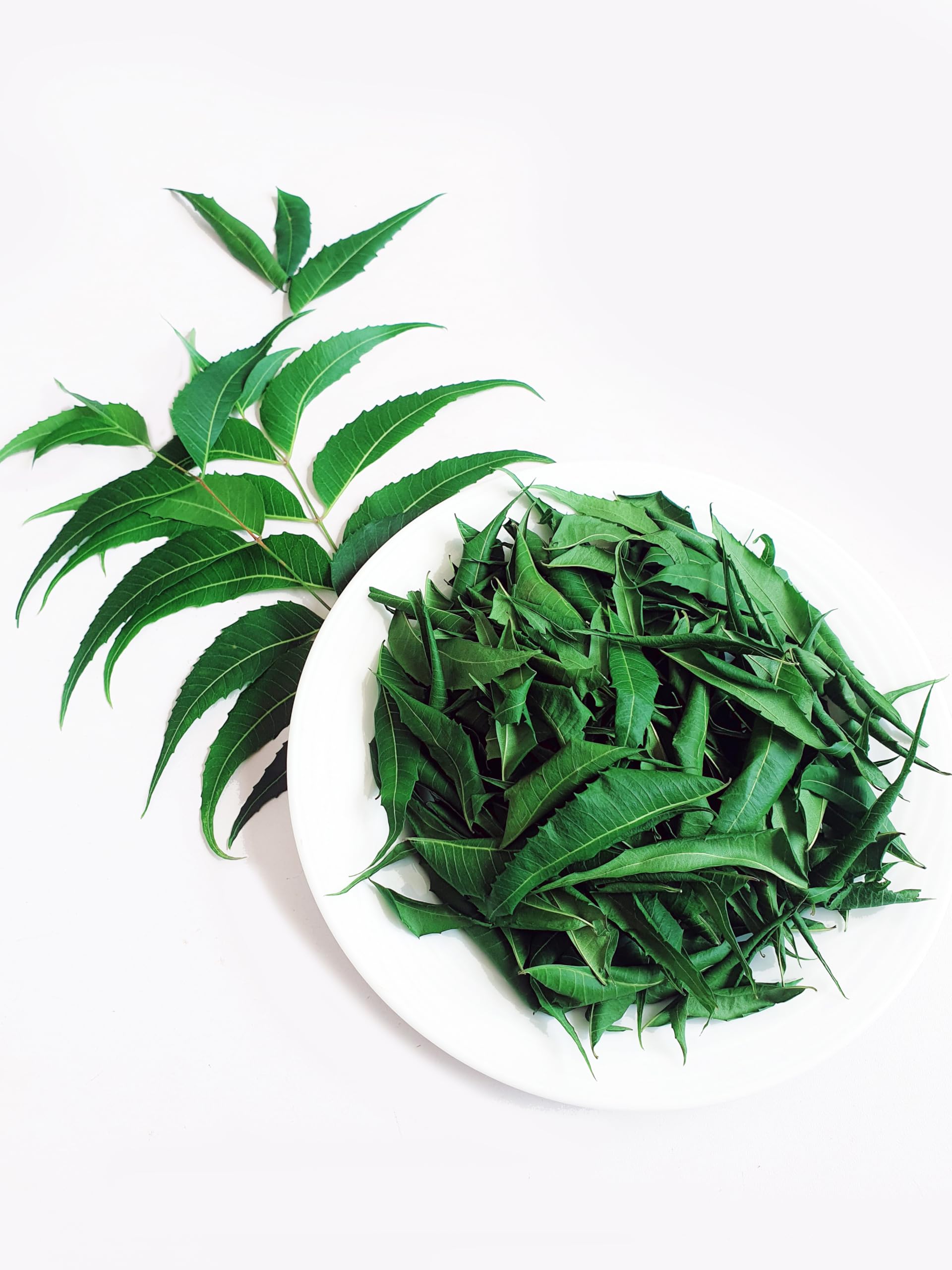 Natural neem supplement for wellness