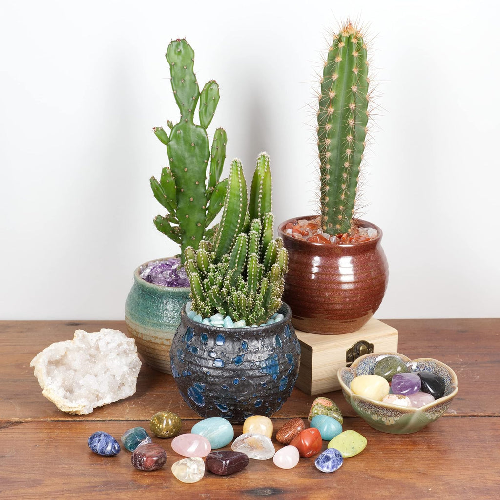 Natural nettle stones for healing