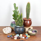 Natural nettle stones for healing