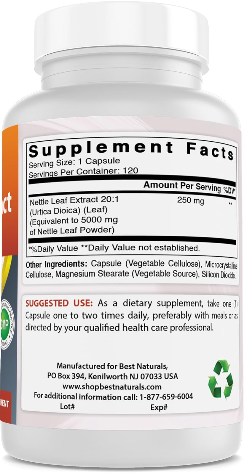 natural nettle supplement for wellness