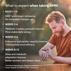 Natural NMN powder for longevity
