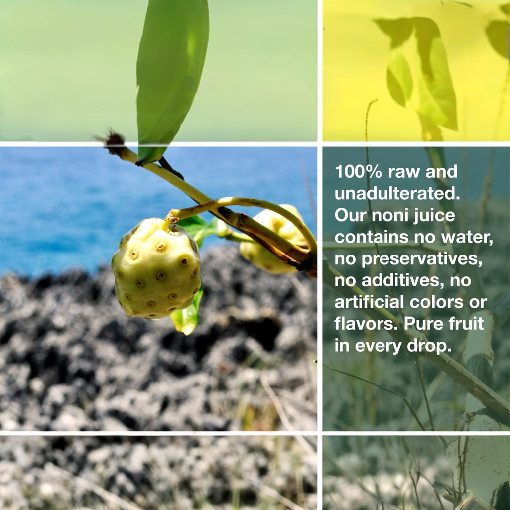 natural noni drink for wellness
