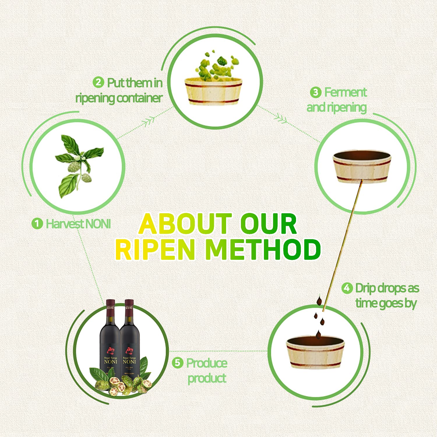 natural noni supplement pack
