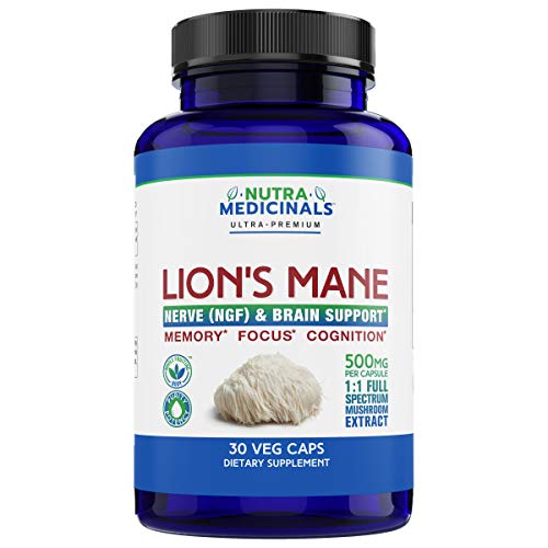 natural nootropic for brain support