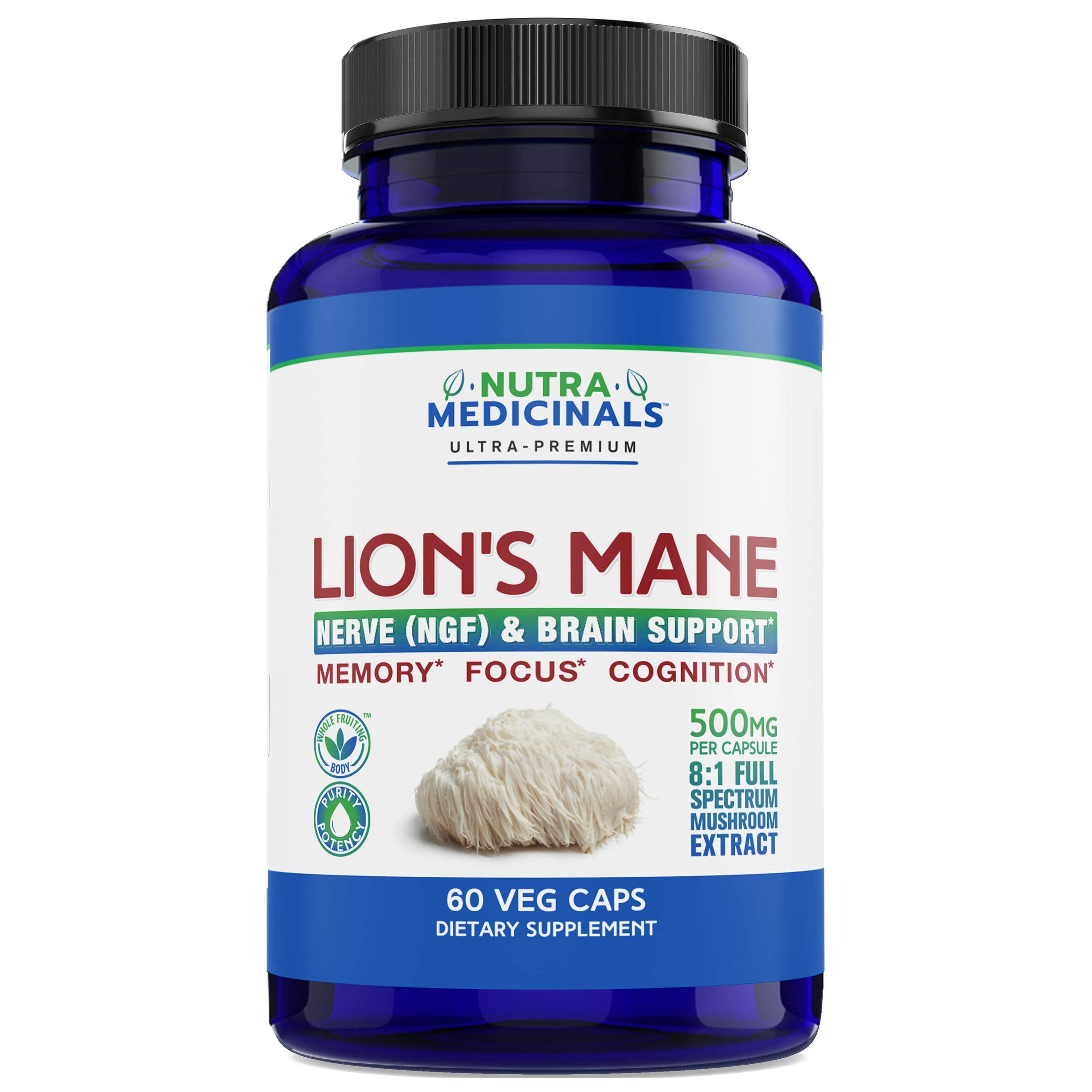 Natural nootropic mushroom supplement for focus