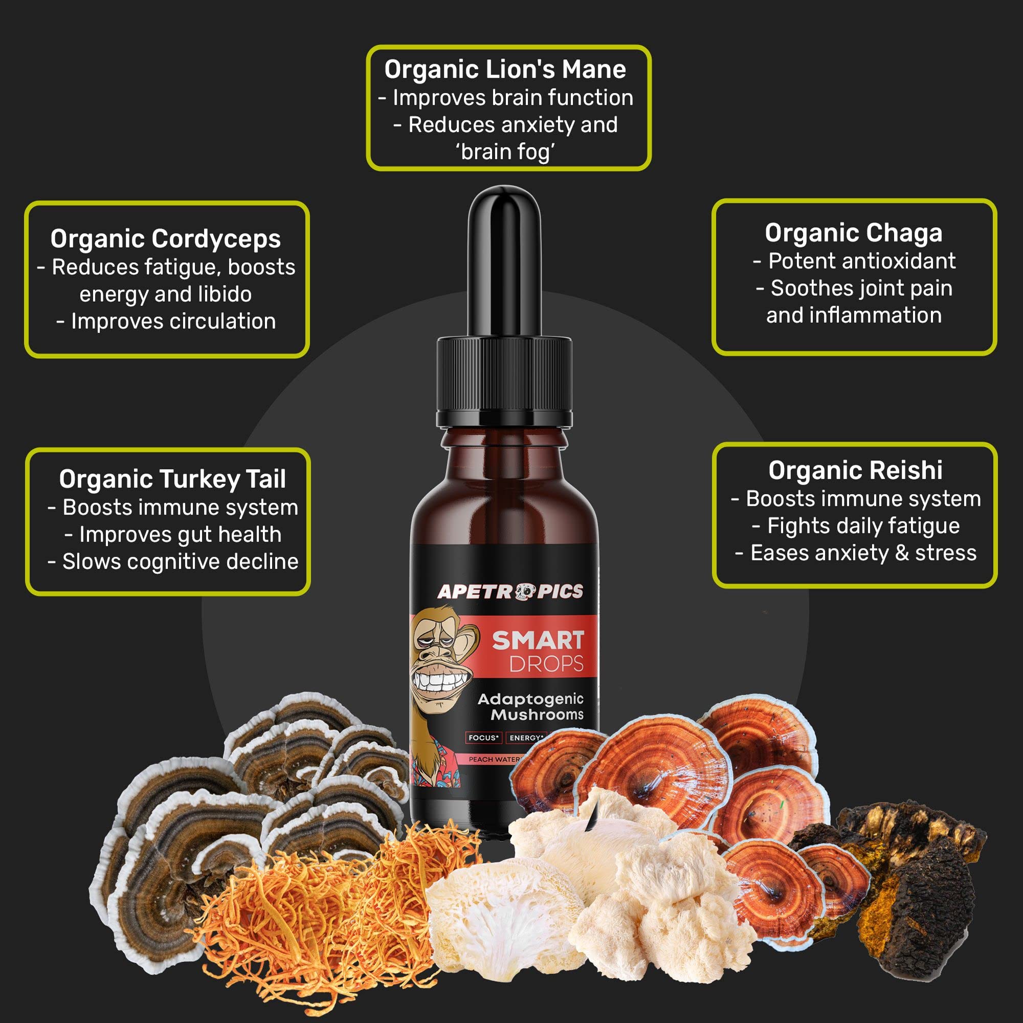 natural nootropic mushroom supplement
