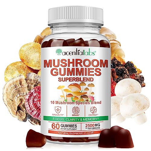 natural nootropic mushroom supplement