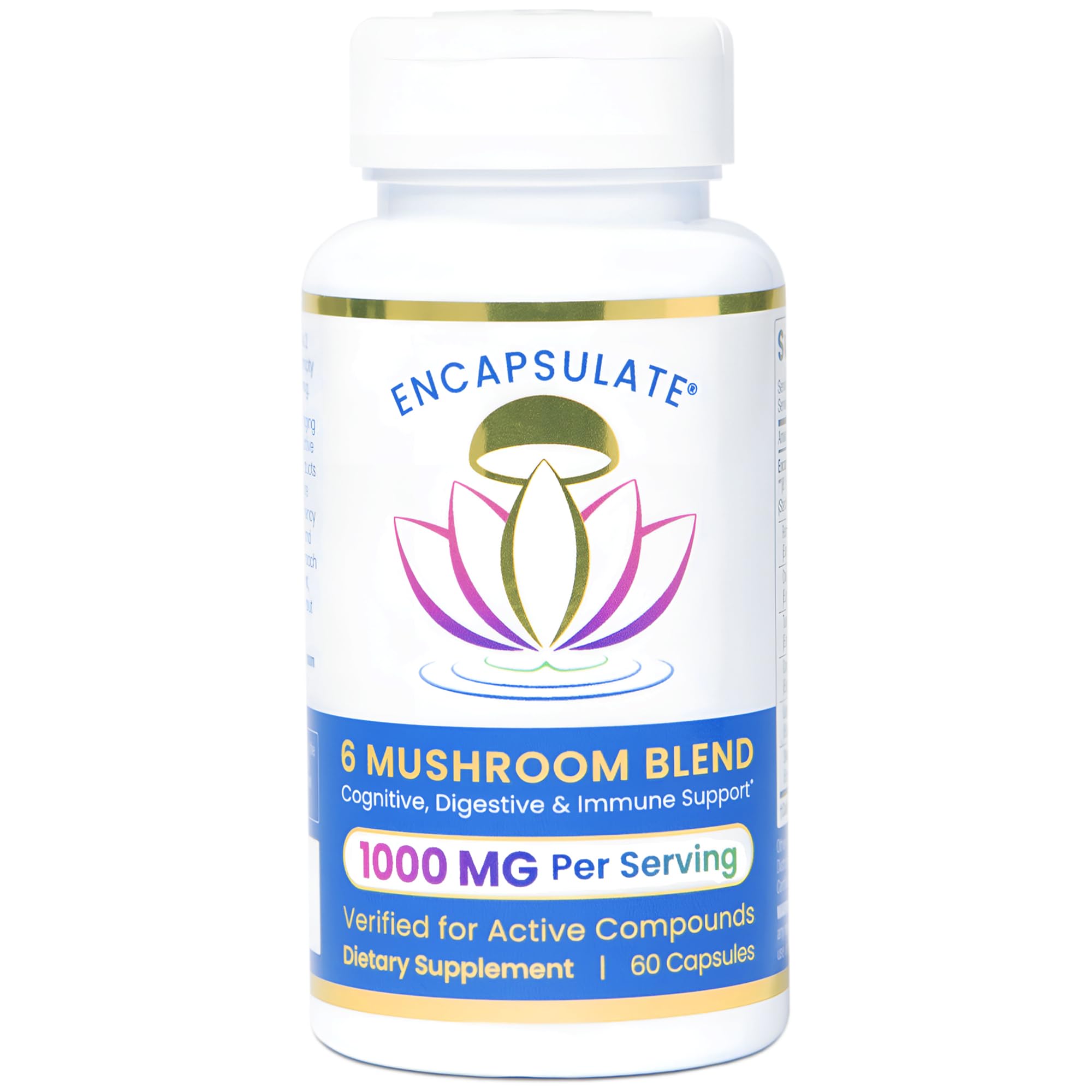 natural nootropic mushroom supplement