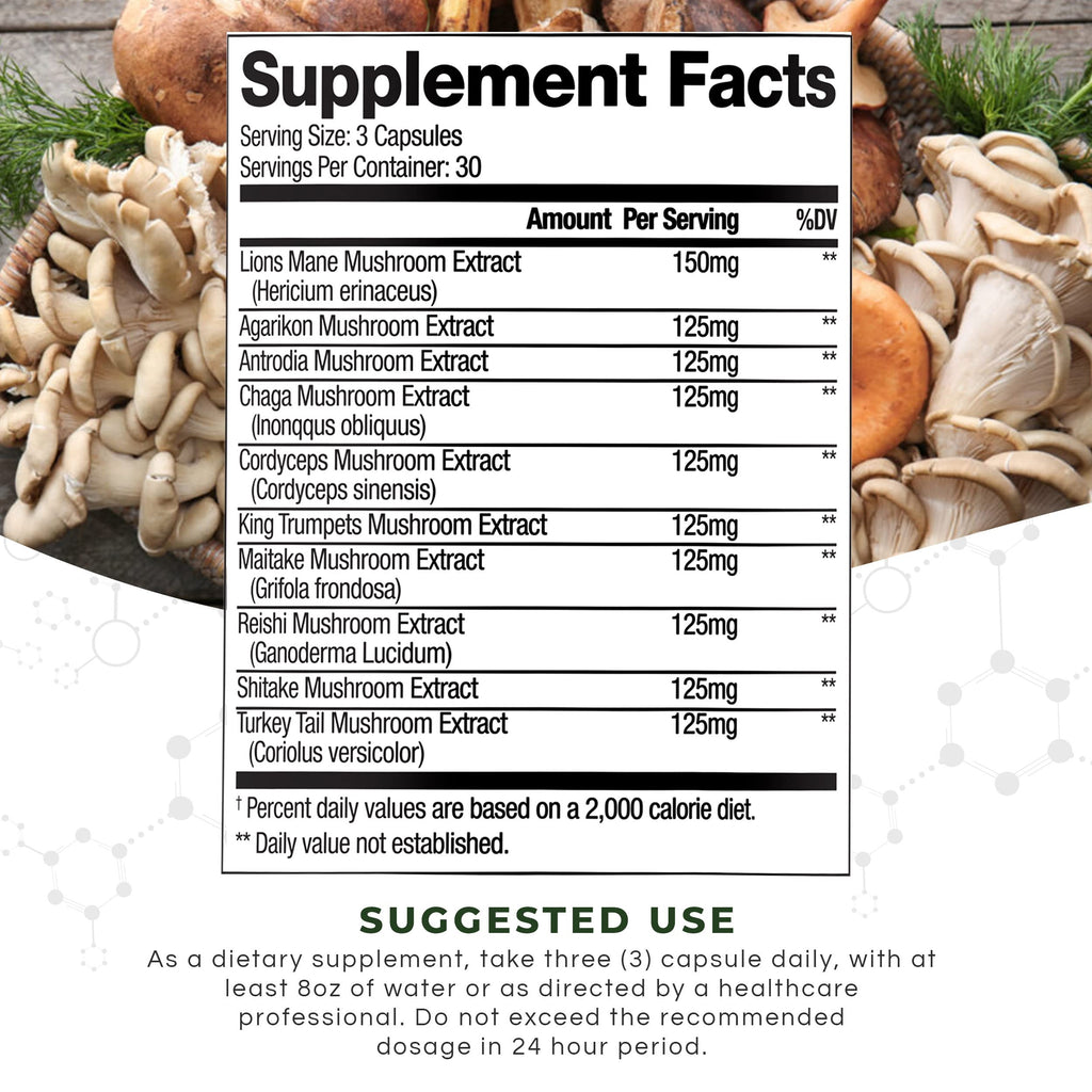 natural nootropic mushrooms for energy