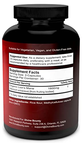 Natural nootropic mushrooms for focus