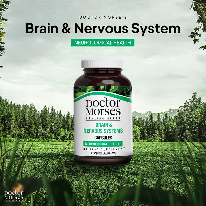 natural nootropic with ginkgo biloba