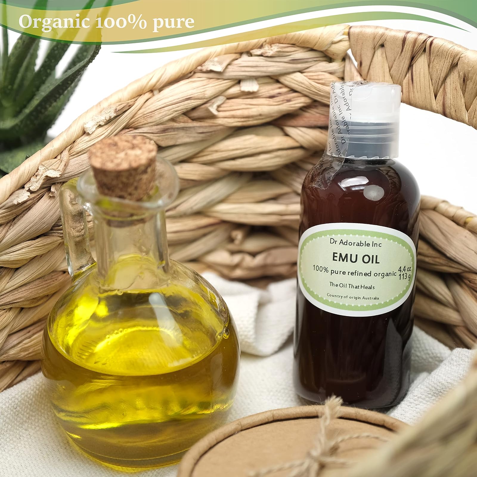 natural oil of oregano benefits