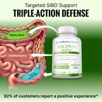 natural oil of oregano supplement