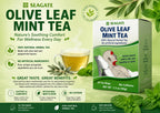 natural olive leaf detox tea