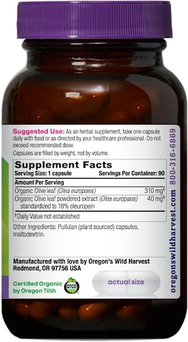 natural olive leaf extract capsules