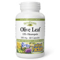 natural olive leaf extract capsules
