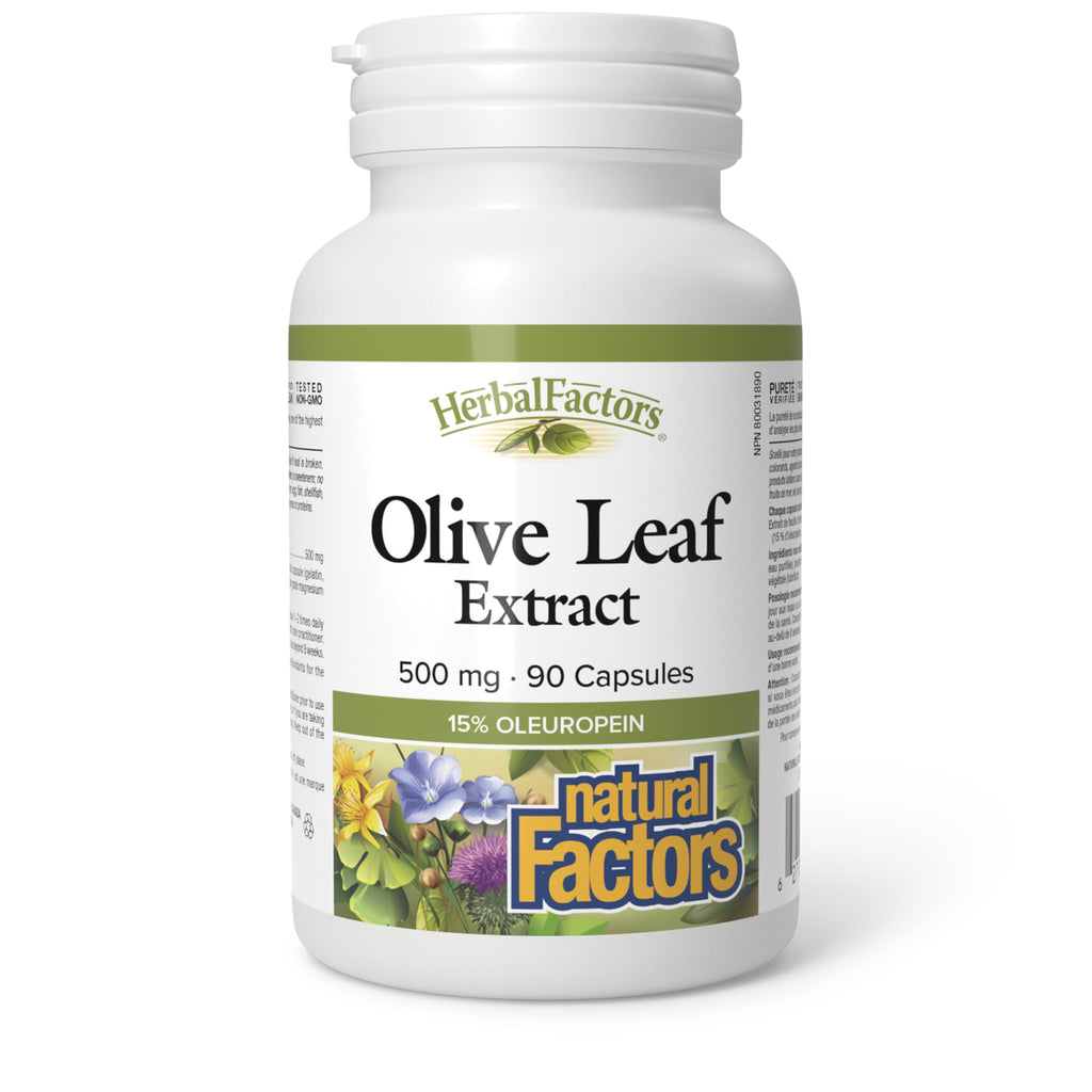 natural olive leaf extract capsules