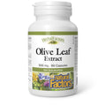 natural olive leaf extract capsules