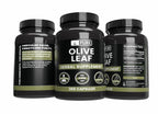 natural olive leaf extract for immune support