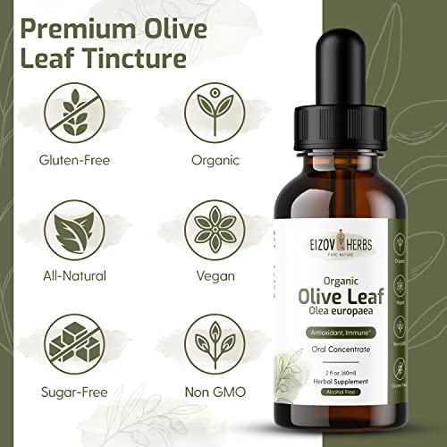 natural olive leaf extract for immunity