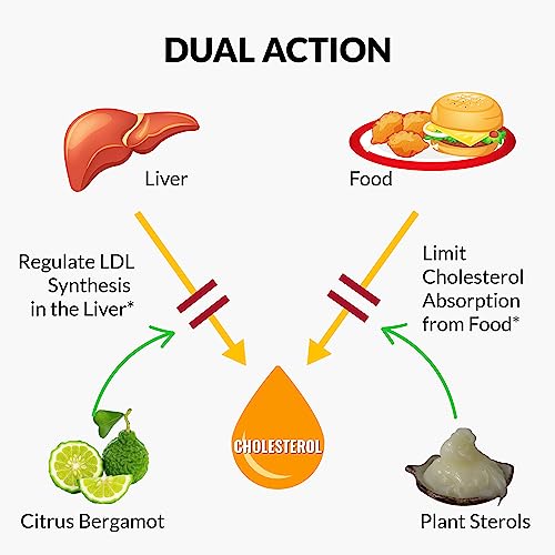 natural olive leaf extract supplement