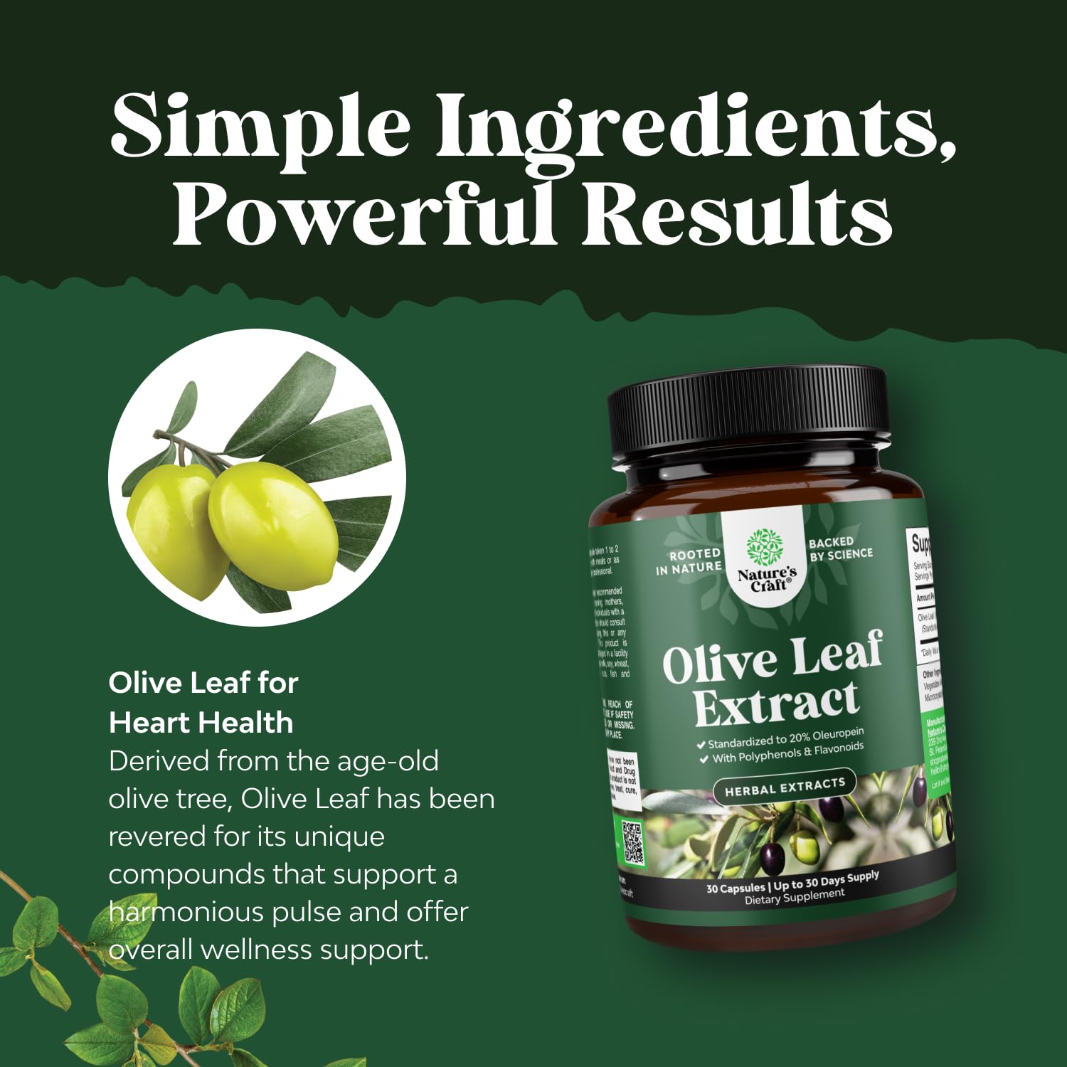 natural olive leaf health benefits