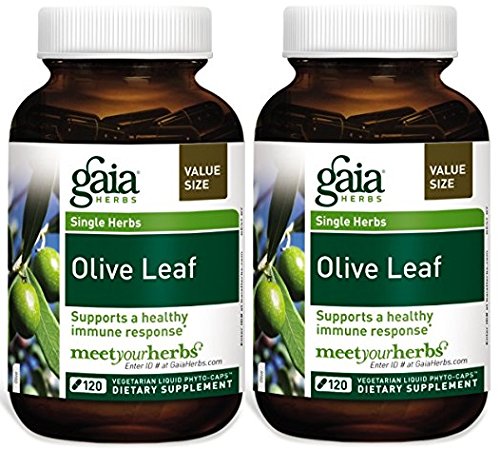 natural olive leaf health supplement