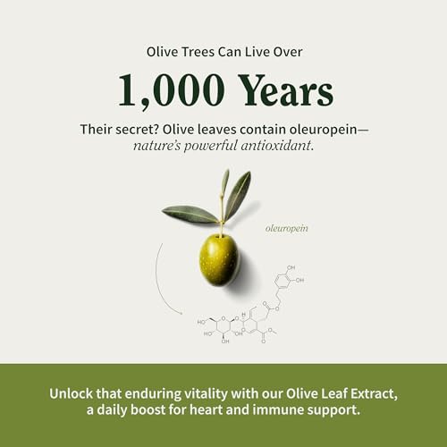 natural olive leaf supplement benefits