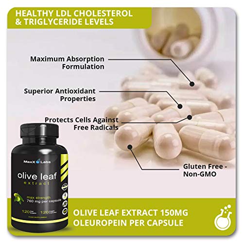 natural olive leaf supplement Canada