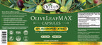 natural olive leaf supplement capsules