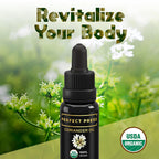 natural omega 3 fish oil supplement