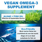 natural omega 3 for daily wellness
