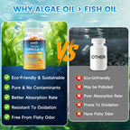 Natural Omega 3 gummies for joint support