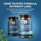 natural oregano oil cleanse supplement