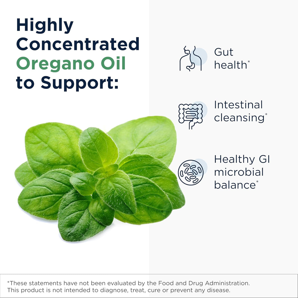 natural oregano oil for digestive health