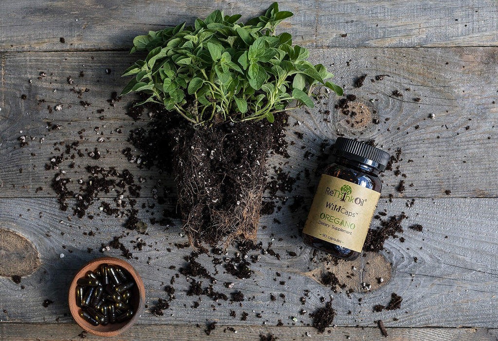 natural oregano oil for vitality