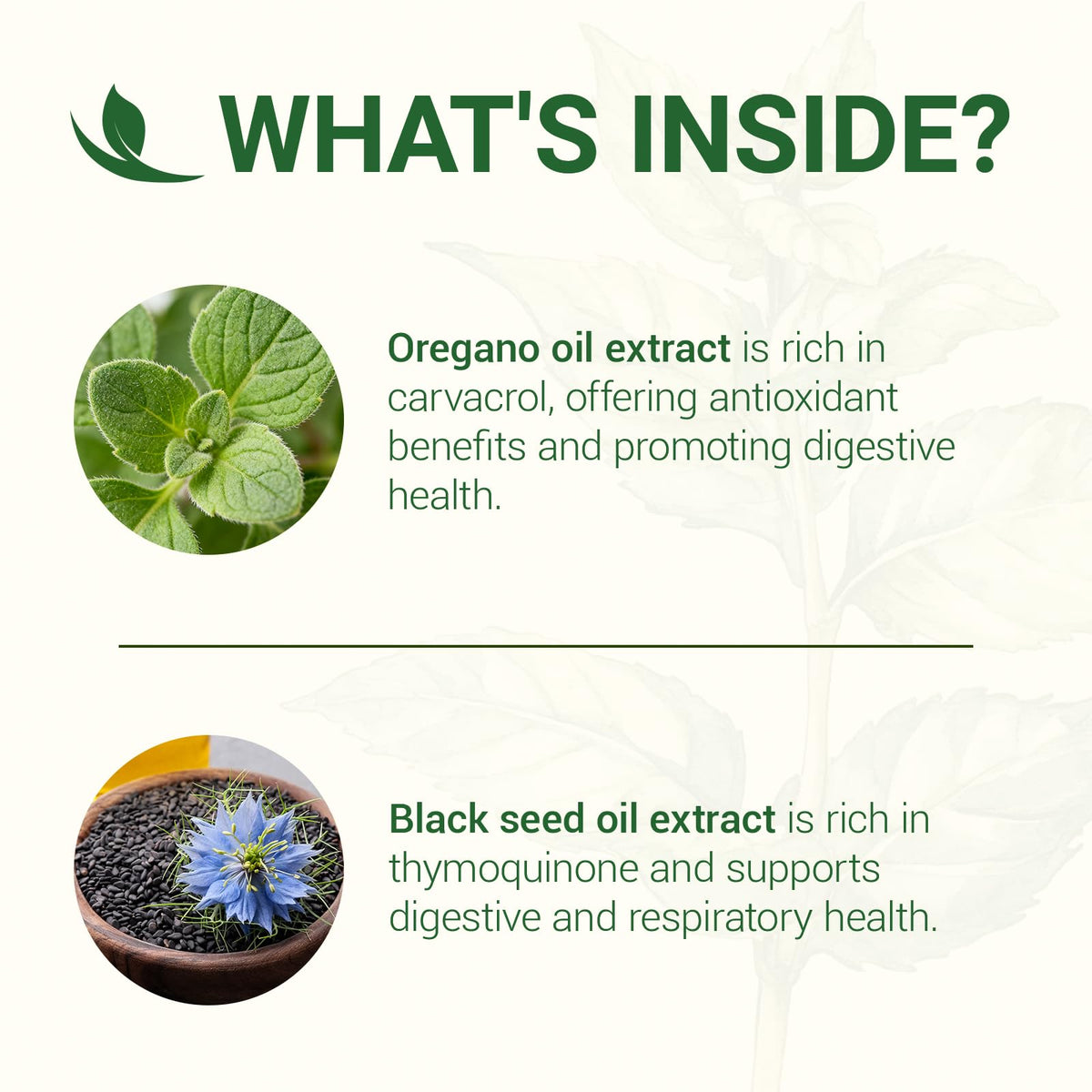 natural oregano oil for wellness