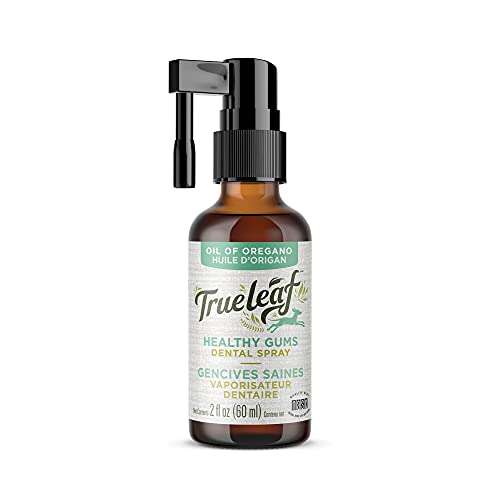natural oregano spray for gums