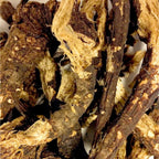 Natural Osha root for wellness