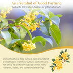 natural Osmanthus tea for wellness