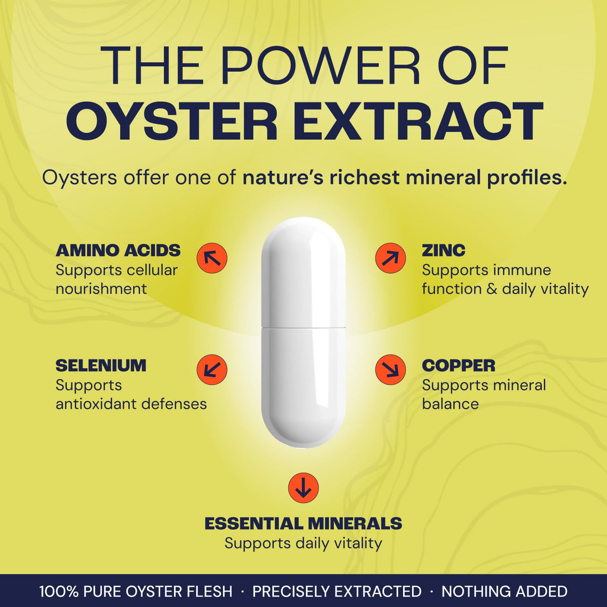 Natural oyster extract benefits